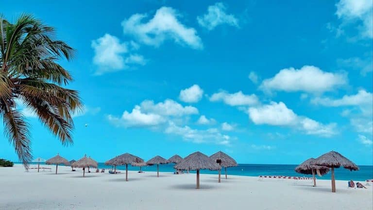 Clima en Aruba: cuál es la mejor época para viajar - Hoteles en